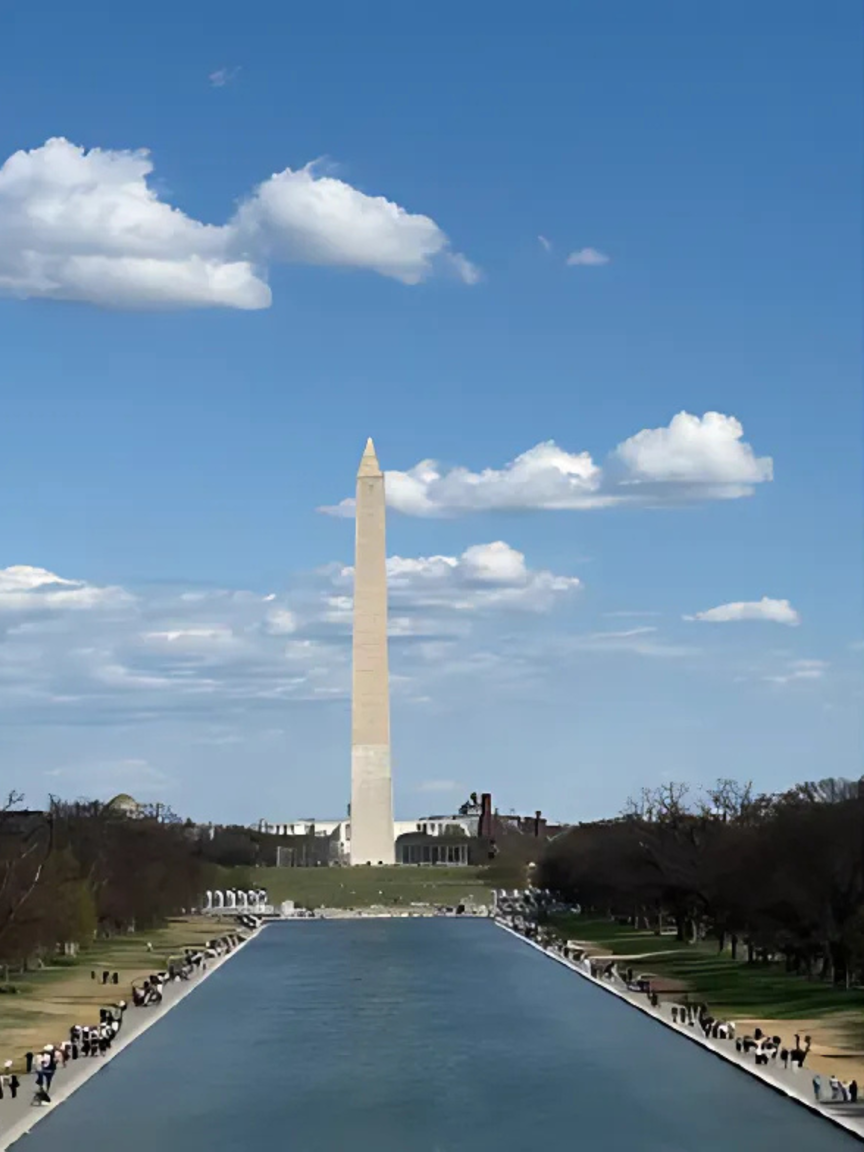 Speaking Up for STEM: Our CSO Experience at the Nation's Capital - Chief Science Officers